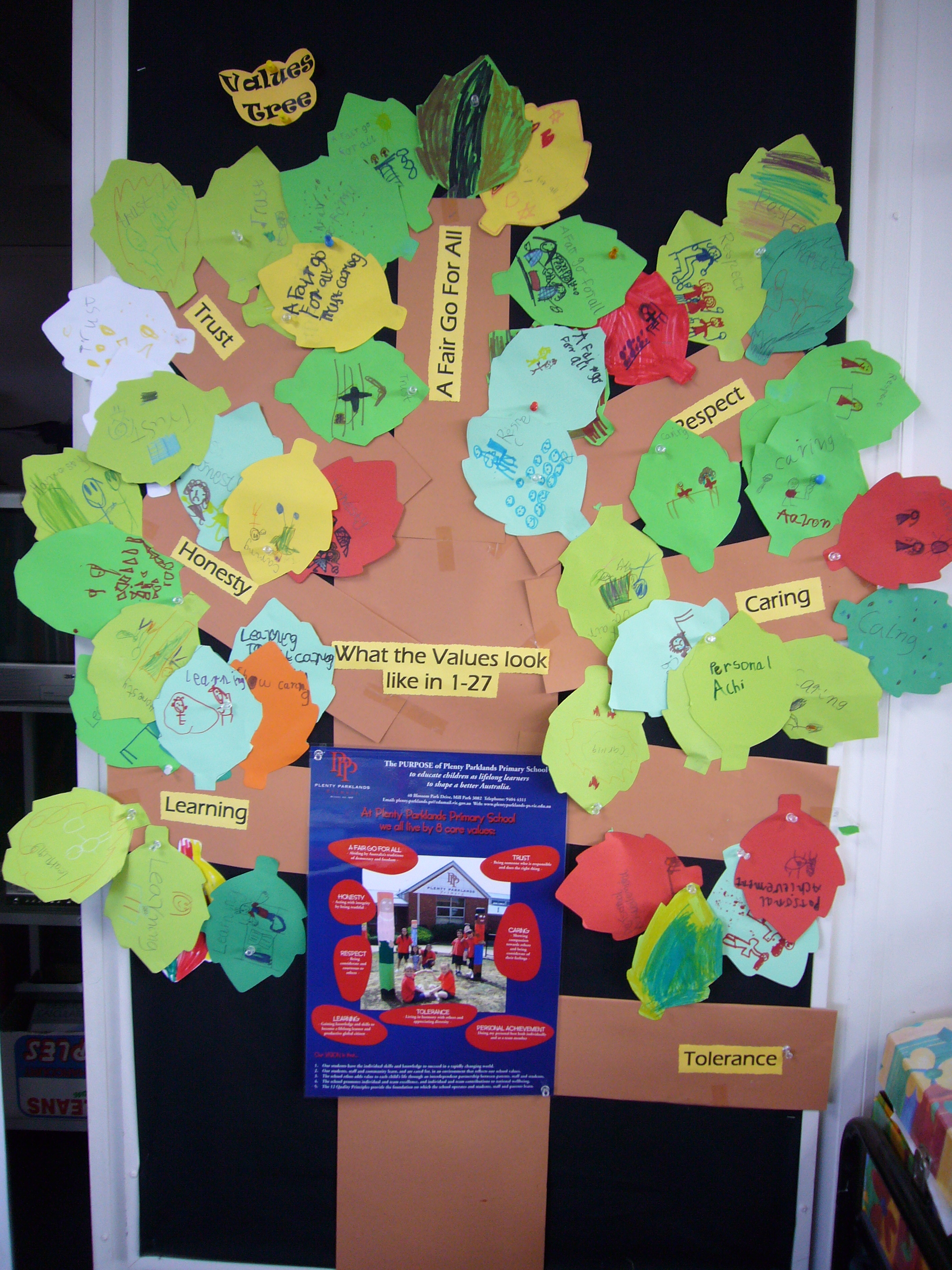 Quality Improvement Tools | Values and Behaviours: Classroom (Year 1)